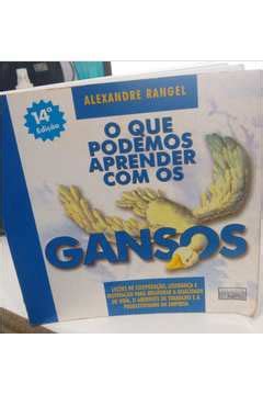 Livro O Que Podemos Aprender Os Gansos Alexandre Rangel
