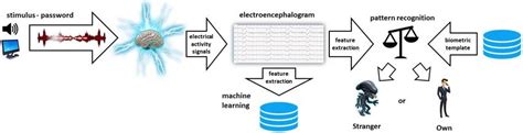 biometric authentication based on eeg spectral and correlation download scientific diagram