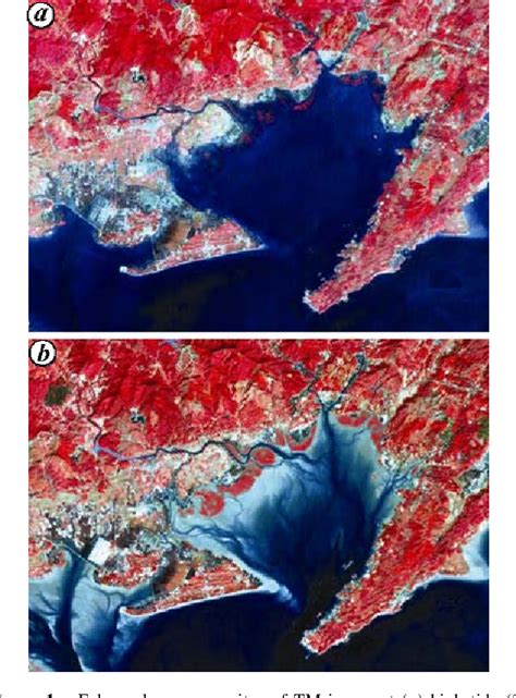 [pdf] a mangrove recognition index for remote sensing of mangrove forest from space semantic
