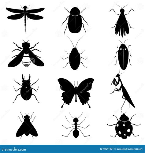 Insects Silhouettes Collection Stock Vector Image