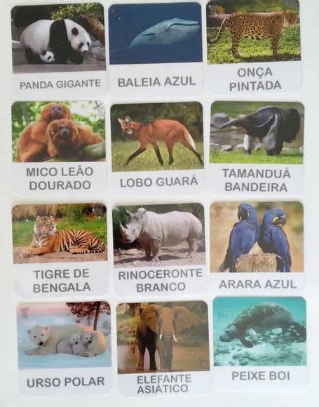 Kit 12 Flashcards Animais Em Extinção Atividades Montessori Jogos E