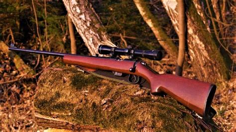 TOP 10 MOST ACCURATE HUNTING RIFLES 2023 YouTube
