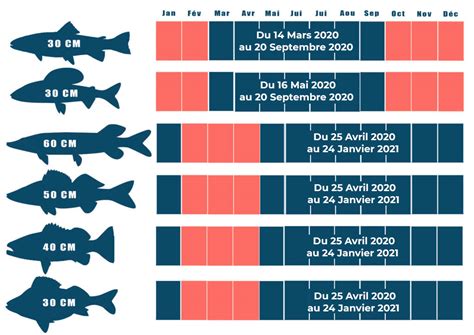 Date Ouverture De La Chasse 2022 2023 Image To U