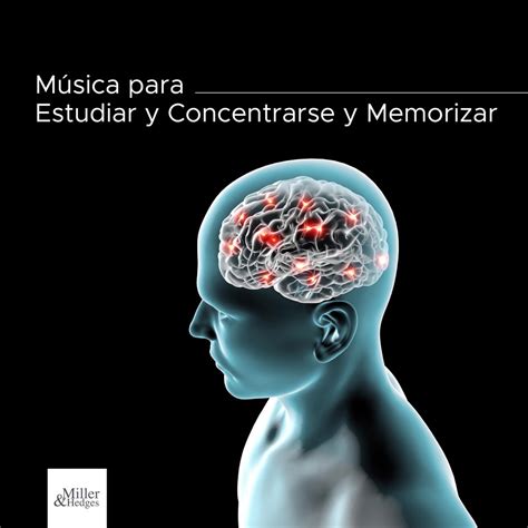 Música para Estudiar y Concentrarse y Memorizar by Ananda Calma on