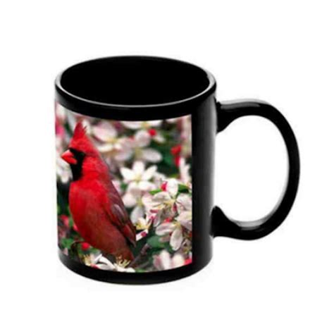 Taza Cerámica Negra con Recuadro blanco RAILLO ES