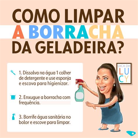 Limpeza Da Borracha Da Geladeira Suja De Mofo