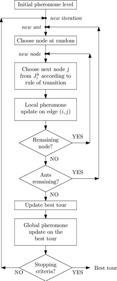 6 flow chart of a simple ant colony system algorithm download scientific diagram
