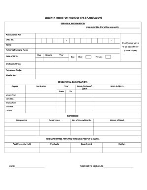 Fillable Online BIODATA FORM FOR POSTS OF BPS 17 AND ABOVE Fax Email