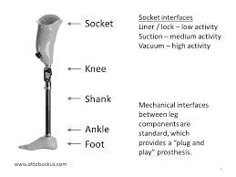 Prosthetics Flashcards Quizlet