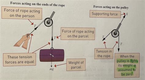 Forces And Newtons Laws Of Motion Flashcards Quizlet