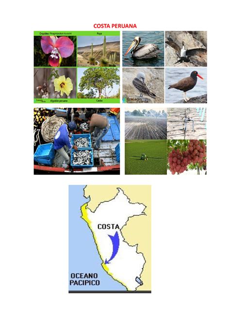 Costa Peruana COSTA PERUANA SELVA PERUANA Se Conoce Con El Nombre De