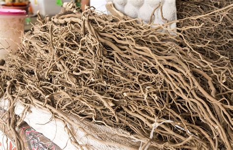 Kava root extract Kavalactones 卡痛叶Kratom