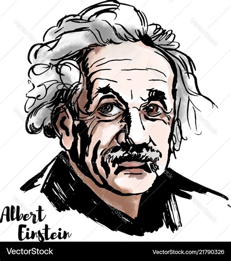 Albert Einstein Royalty Free Vector Image VectorStock