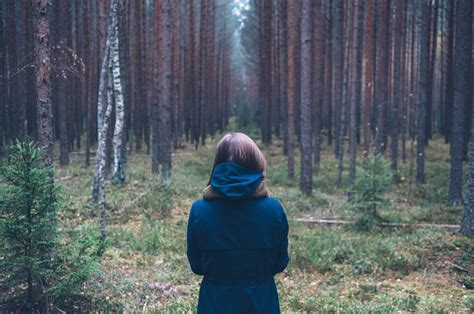 Wallpaper Trees Landscape Forest Fall Women Outdoors Nature Sky Wilderness Tree