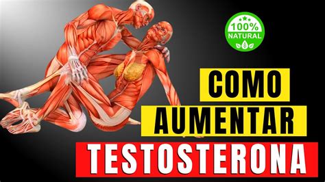 Jeitos F Ceis De Aumentar A Testosterona Naturalmente E Turbinar A