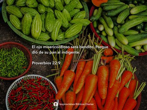 Proverbios Inspiraciones B Blicas Diarias