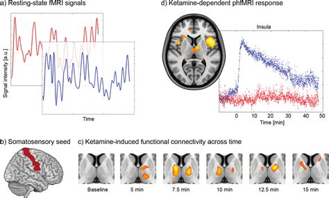 functional connectivity obtained from functional mri a resting state download scientific