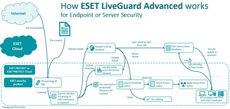 Eset Endpoint Security And Eset Server Security Eset Liveguard