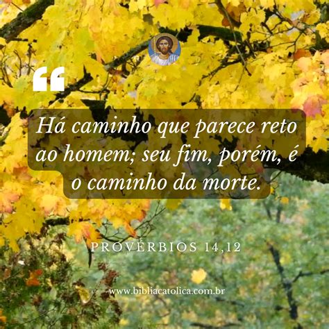 Provérbios 14 12 Bíblia Católica Online