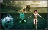 Post Bumbo Fake Enya Fakes Music