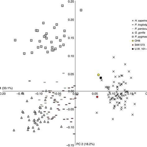 first two principal component scores of a generalized procrustes download scientific diagram