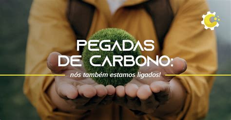 Pegada de carbono o que é e como reduzir na sua empresa