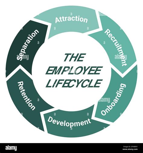 Employee Lifecycle Hi Res Stock Photography And Images Alamy