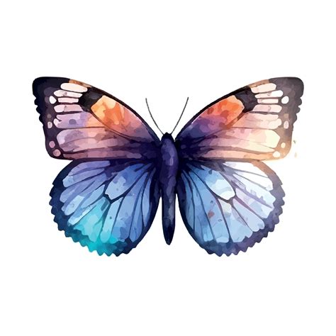 Blue Purple Butterfly Watercolor Isolated On A White Background