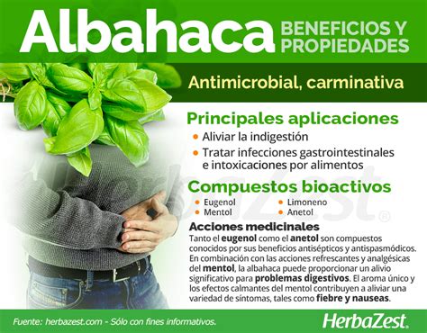 Albahaca HerbaZest