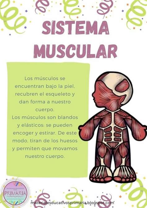 Pin de Karenmollis en ideas para niños Sistemas del cuerpo humano