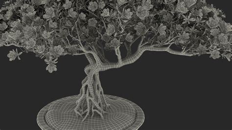 Miniature Bonsai Tree With Flowers In Pot Fur D Model Max Free D