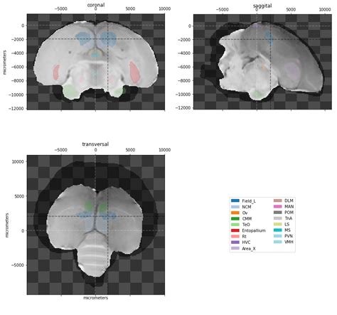 Tim Sainburg Birdbrain A Library For Viewing Songbird And Bat