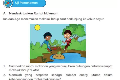 Materi Dan Kunci Jawaban Tematik Kelas Tema Subtema Halaman Off