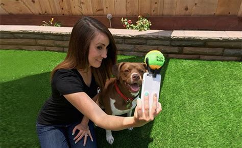 Pooch Selfie o acessório para tirar selfies seu cachorro