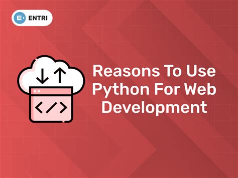 Reasons To Use Python For Web Development Entri Blog