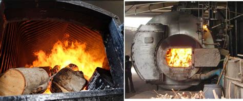 Exploring The Versatile Applications Of Mixed Wood Shavings In