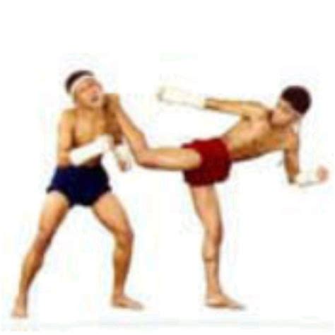 POWER ANGLE KICK ROUNDHOUSE KICK Il Pugno Dei Figli Del Drago