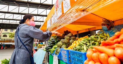Requisitos Bono Alimentario 2022 Link De Consulta