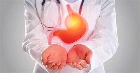Lo que debe saber de la relación entre el sistema inmune y digestivo de