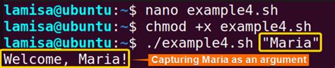 How To Save Bash Output To Variable 4 Practical Cases
