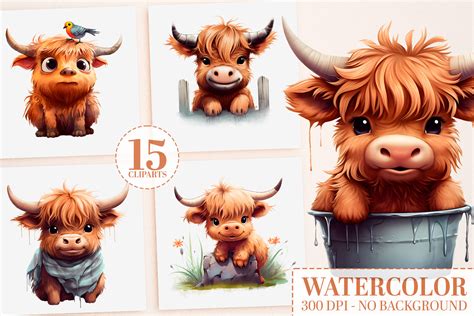 15 Baby Highland Cow PNG Bundle ClipArt Grafik Von SharpMarketplace
