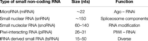 classification of types of small non coding rnas download scientific diagram