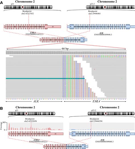 development and validation of an rna sequencing assay for gene fusion detection in formalin