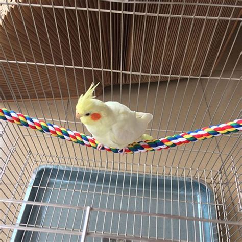 Atyhao Bird Rope Perch Colorful Bendable Chewable Cotton Ropes Perch