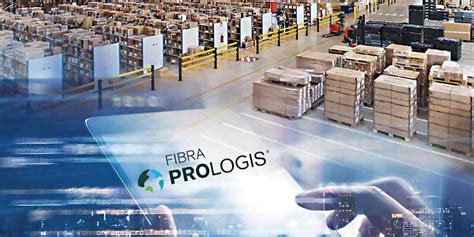 Que tipos de fibras hay en México