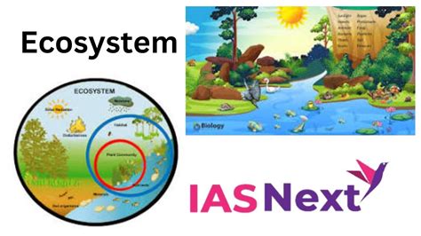 Artificial Ecosystem Upsc Archives Ias Next Best Ias Pcs Pcs J