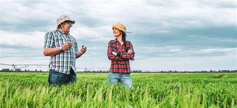 PLANO SAFRA Agricultura Volta A Ser Prioridade Comunidade Ecolink
