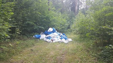 Nadleśnictwo Olsztyn rocznie wydaje 100 tys zł na usuwanie