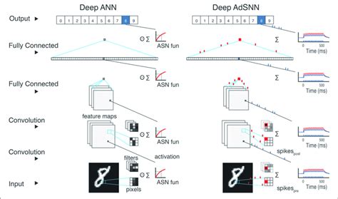 adaptive spiking neural network conversion schematic left during download scientific