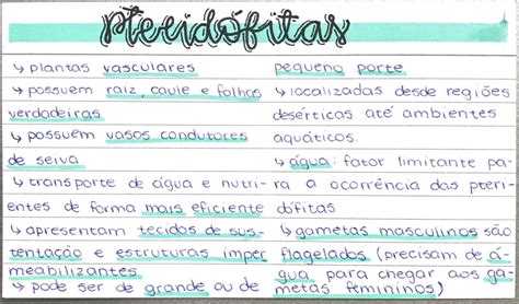 Botânica resumos e mapas mentais Infinittus
